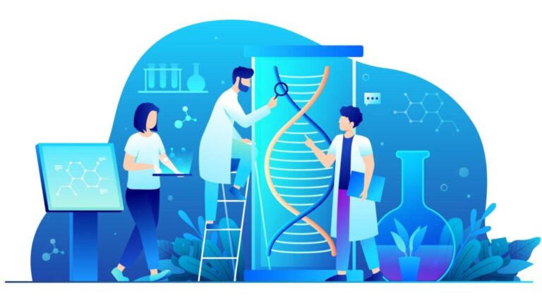 The Journey from Lab to Market: Phases of Clinical Trials in Drug ...